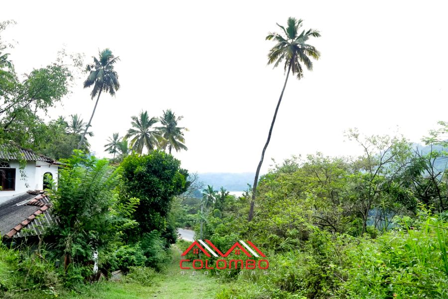 Kandy Land – 23p Haragama Land Overlooking Victoria Reservoir for SALE ...