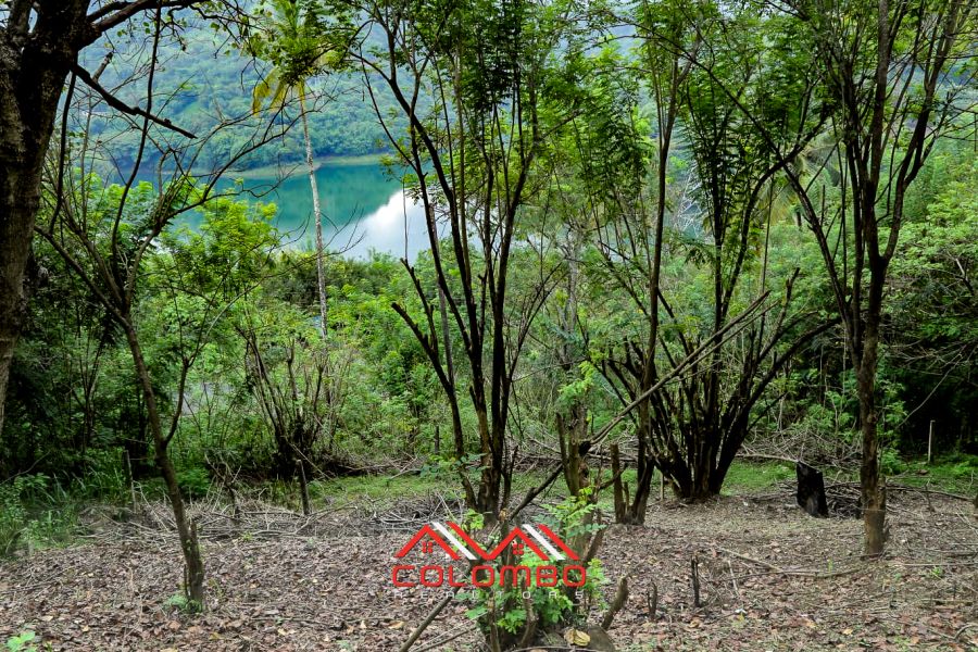 Kandy Land – 23p Haragama Land Overlooking Victoria Reservoir for SALE ...